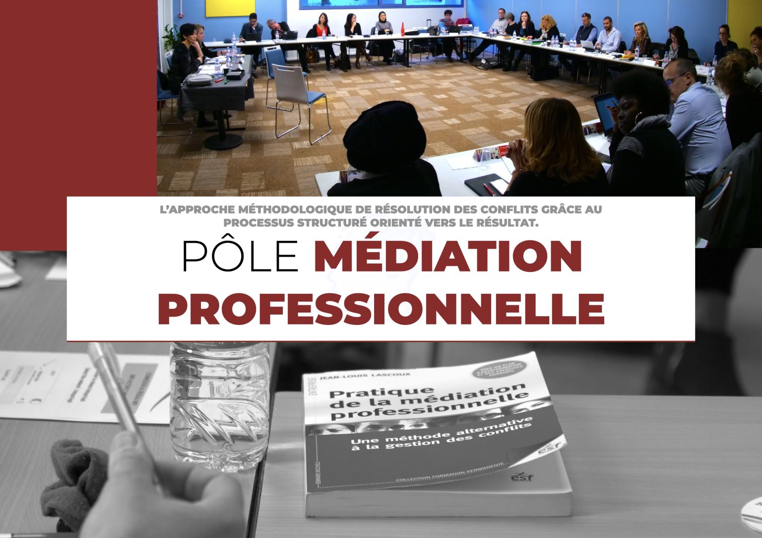 Pôle Médiation Professionnelle - Ecole Professionnelle de la Médiation ...